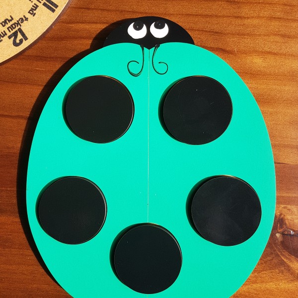 Ladybird Game - Kidz Jigz Ltd